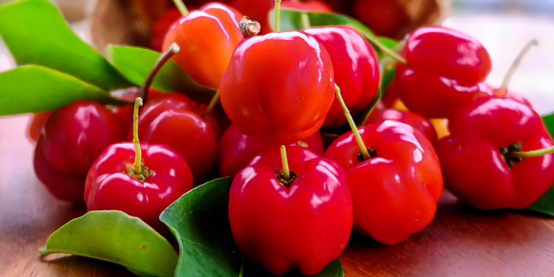 Cerise acérola | Martinique Tour