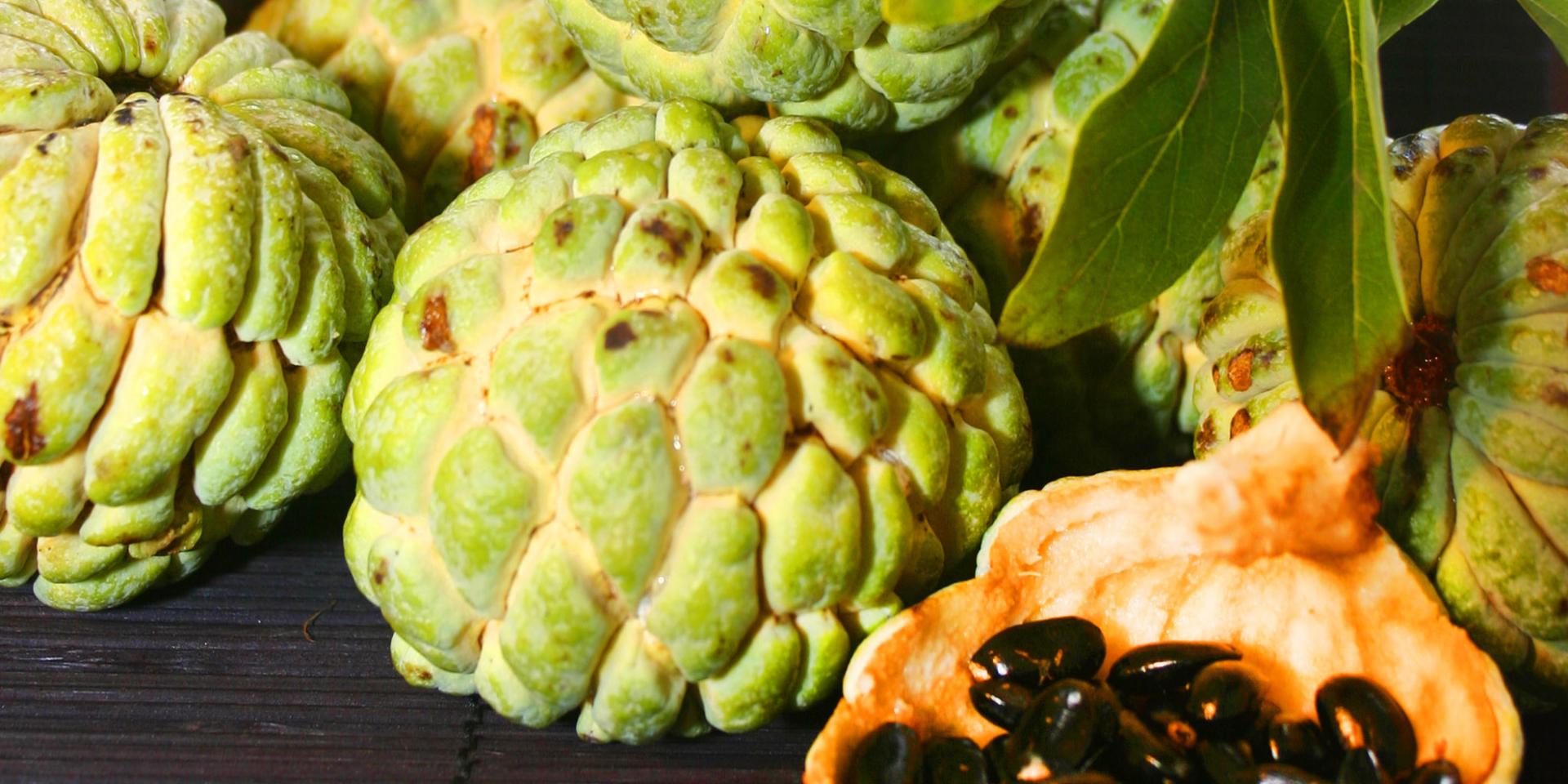 Les Fruits de Martinique | Martinique Tour