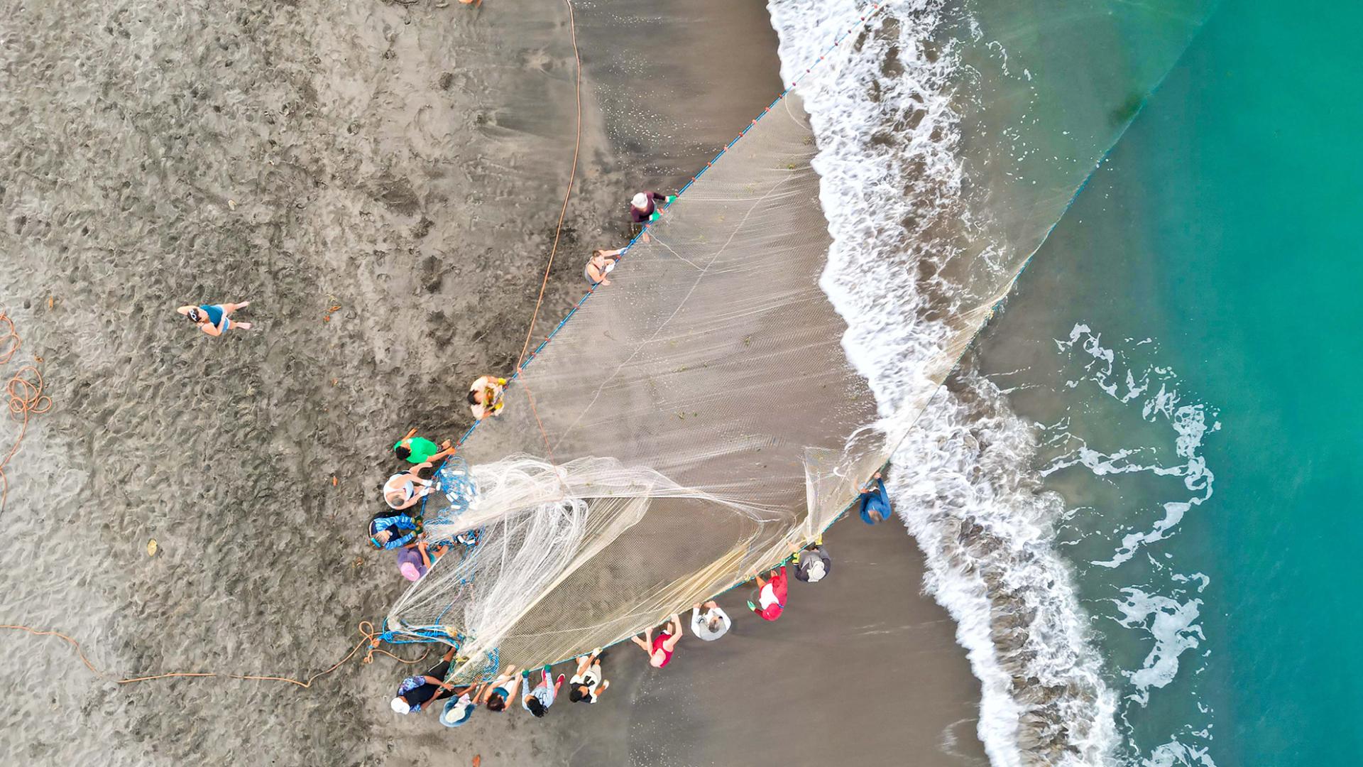 Martinique Tour : Guide Ultime Martinique